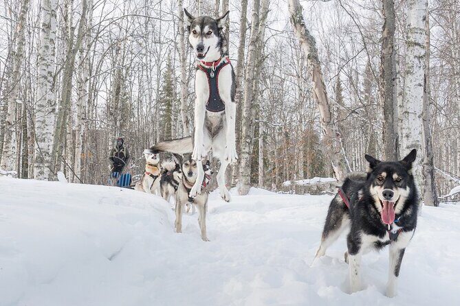 Signature Ridge Top Mush - The Sum Up