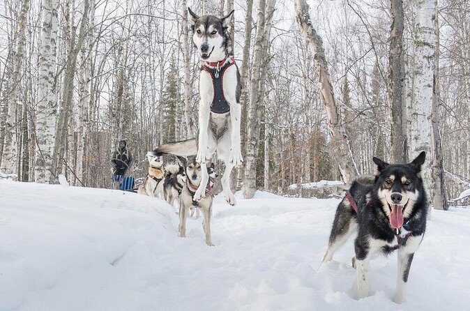 Signature Ridge Top Mush - FAQs