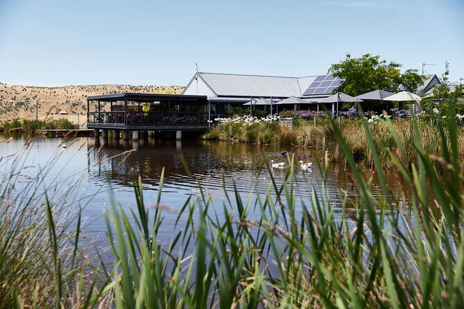 Signature Saturday Wine Tour - Why Travelers Love This Tour