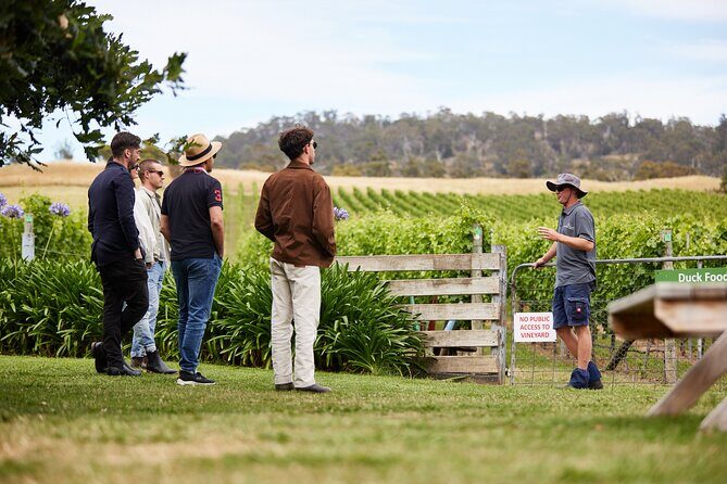 Signature Saturday Wine Tour - Frequently Asked Questions