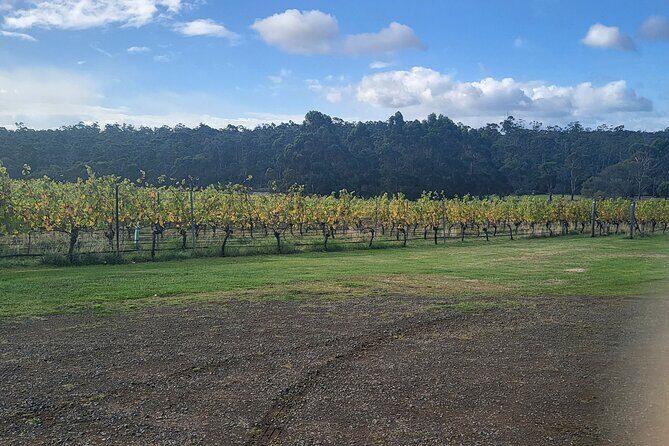 Signature Wine Tour - Hobart & SE Tasmania - The Experience & Practicalities