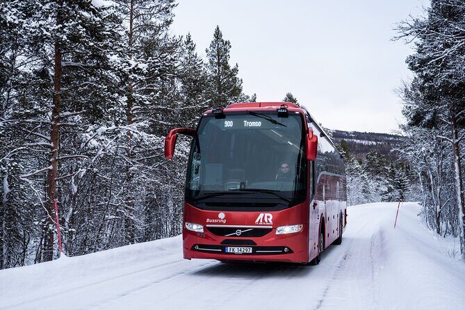 Silent Whale Watching on Hybrid-Electric Boat with Scenic Bustrip - Key Points