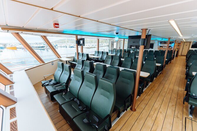 Silent Whale Watching on Hybrid-Electric Boat with Scenic Bustrip - Who Should Consider This Tour?