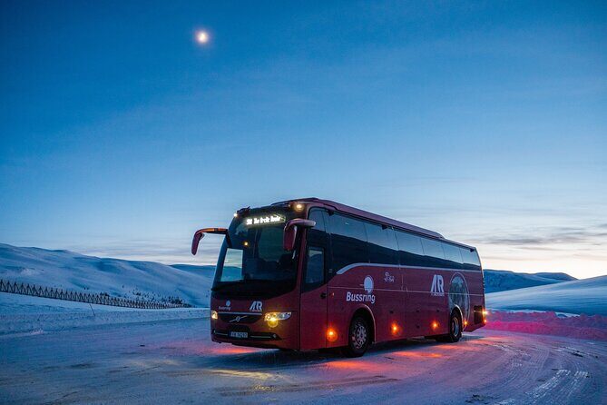 Silent Whale Watching on Hybrid-Electric Boat with Scenic Bustrip - The Sum Up