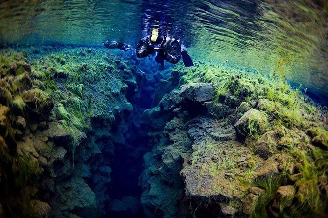 Silfra Fissure Snorkeling From Reykjavík - Free Underwater Photos - Who Will Love This Experience?