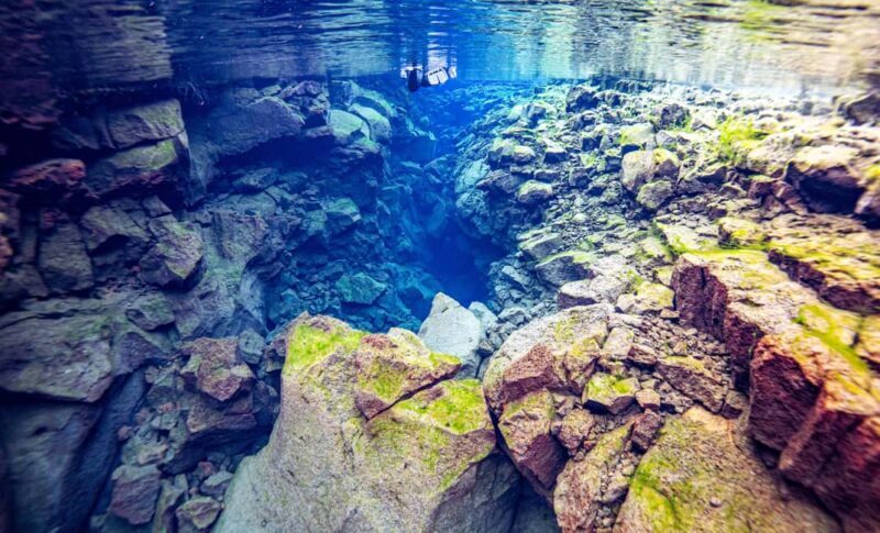 Silfra: Snorkel Between Continents. Free Professional Photos - The Sum Up