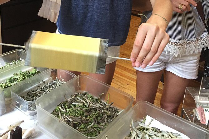 Silk Tour in Lyon - Final Thoughts: Is It Worth It?