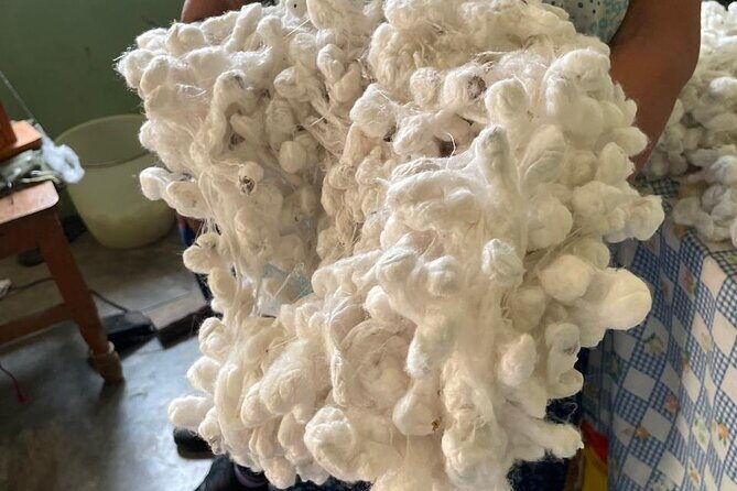 Silkworm and Maguey in the Sierra Norte - Why This Tour Offers Great Value