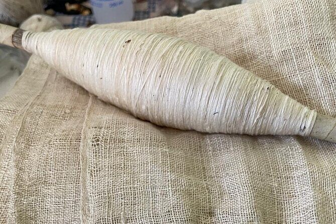 Silkworm and Maguey in the Sierra Norte - Who Should Consider This Tour?