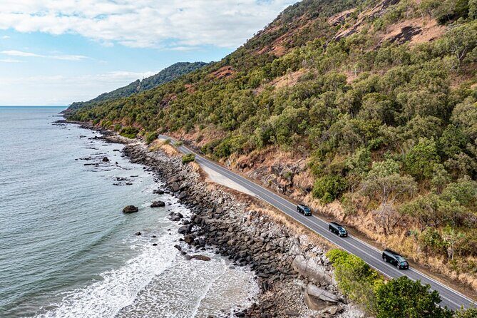 Silky Oaks to Cairns ONE WAY Private Transfer 6 pax - The Experience: What to Expect from Silky Oaks to Cairns Private Transfer