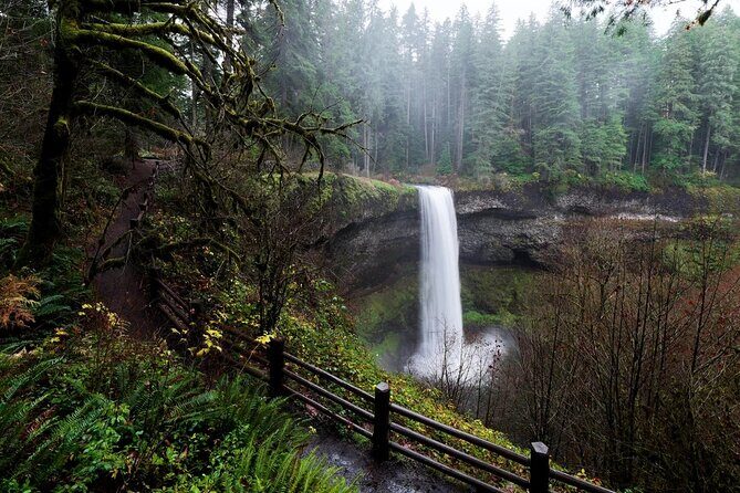 Silver Falls Private Hike Tour - An In-Depth Review of the Silver Falls Private Hike Tour