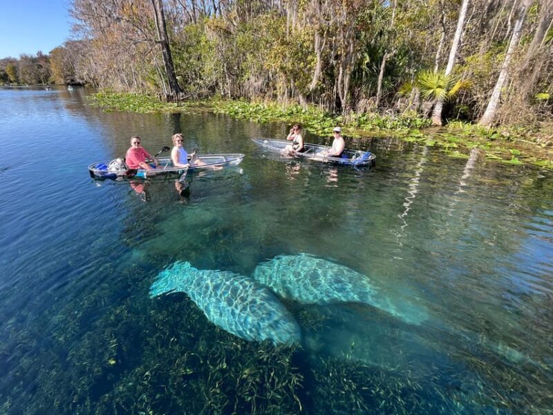 Silver Springs: Clear Kayak Manatee Season Tour - What Makes the Silver Springs Kayak Tour Stand Out