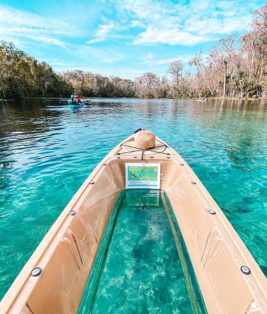 Silver Springs: Glass Bottom Kayak and Wildlife Tour - Practical Details and Tips