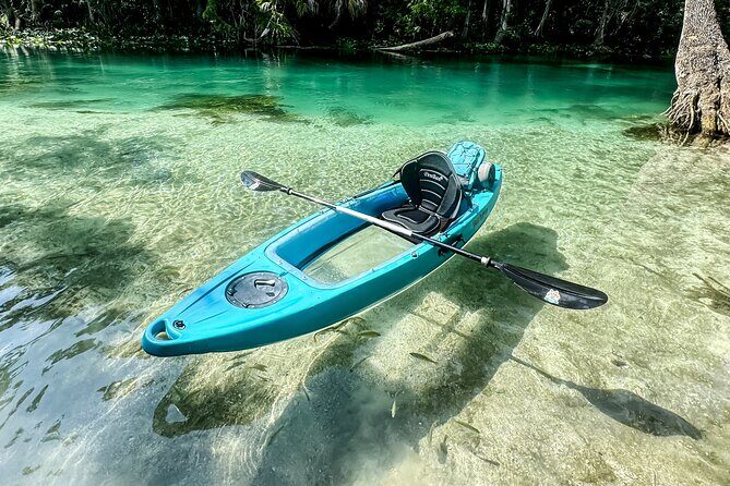 Silver Springs - Glass Bottom Kayak Rental - Exploring the Silver Springs Glass Bottom Kayak Experience