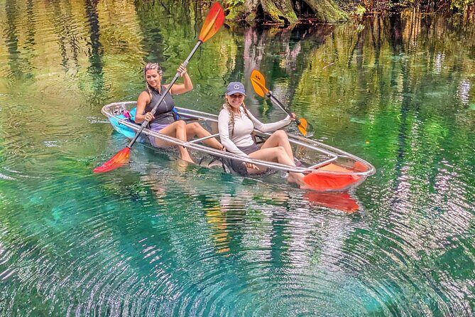 Silver Springs Jungle Kayaking and Paddleboarding - An In-Depth Look at Silver Springs Jungle Kayaking and Paddleboarding