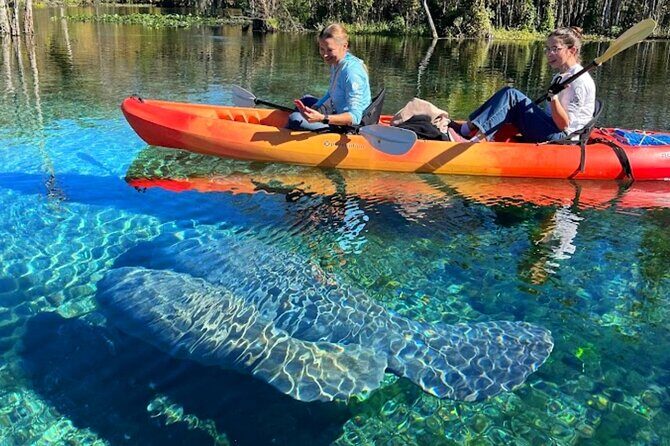 Silver Springs Jungle Kayaking and Paddleboarding - FAQ