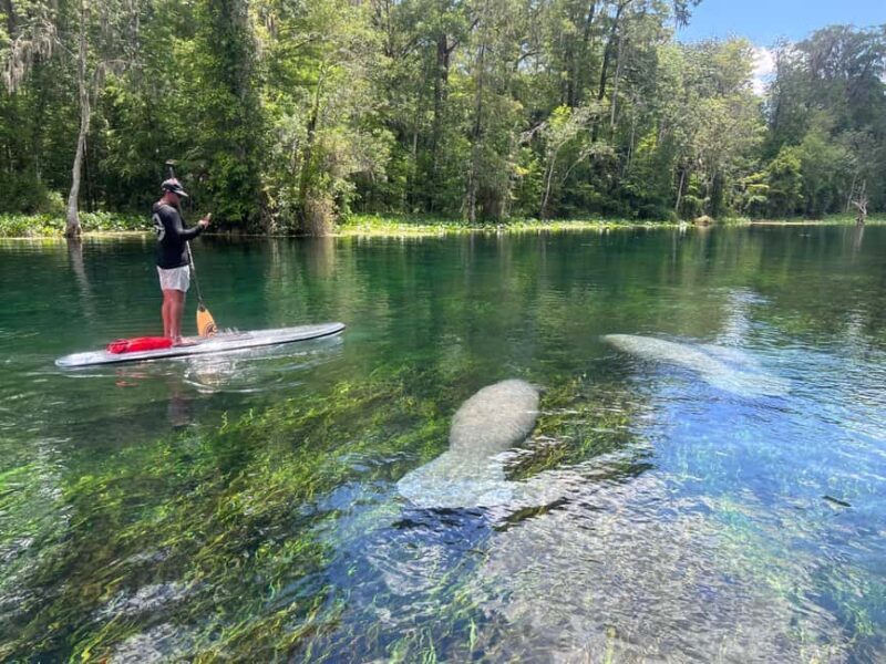 Silver Springs: Manatees, Monkeys, and Natural Spring Tour - The Sum Up