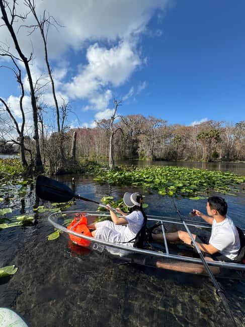 Silver Springs: Silver River Guided Kayak Tour - Key Points