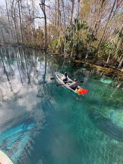 Silver Springs: Silver River Guided Kayak Tour - Practical Tips for Visiting
