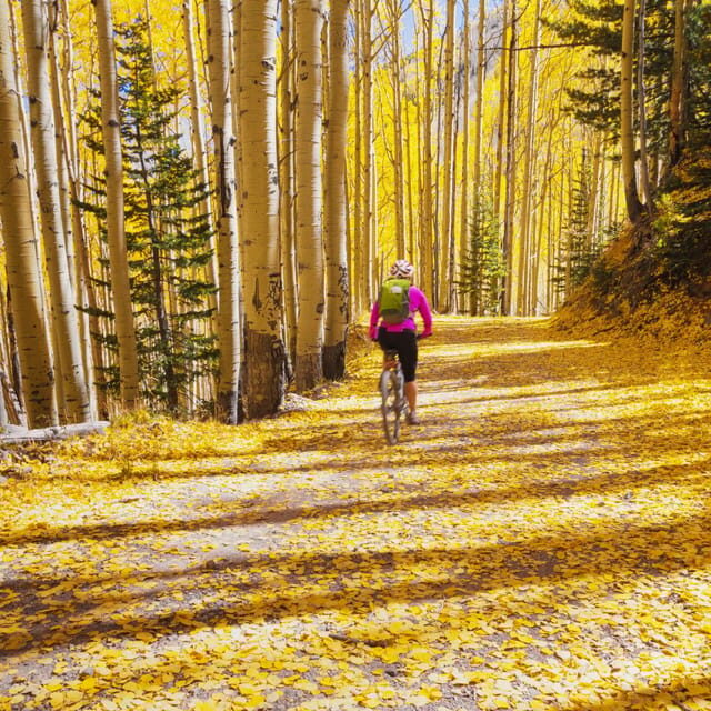 Silverthorne: Mountain Bike Ride Salt Lick Trails - An In-Depth Look at the Salt Lick Trail Ride