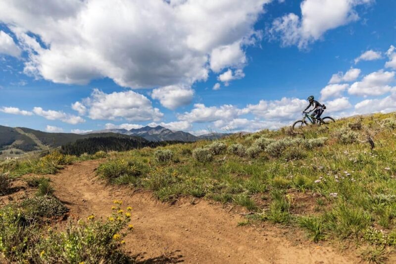 Silverthorne: Mountain Bike Ride Salt Lick Trails - The Value of the Experience