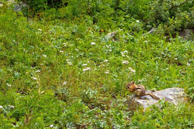 Silverton Half Day Jeep Tour - Final Thoughts
