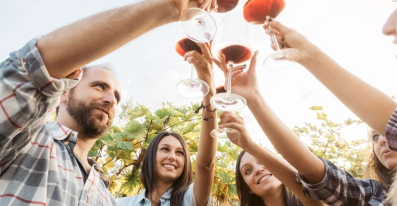 Silves: Algarvian Winery Tour and Tasting Experience - Final Thoughts  