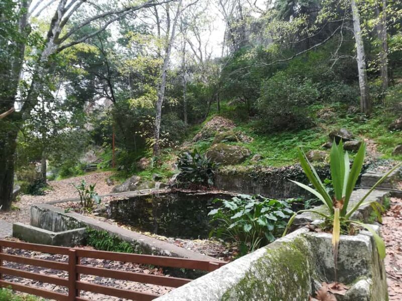 Silves and Monchique Mountain: Guided Bus Tour - Who Will Love This Tour?
