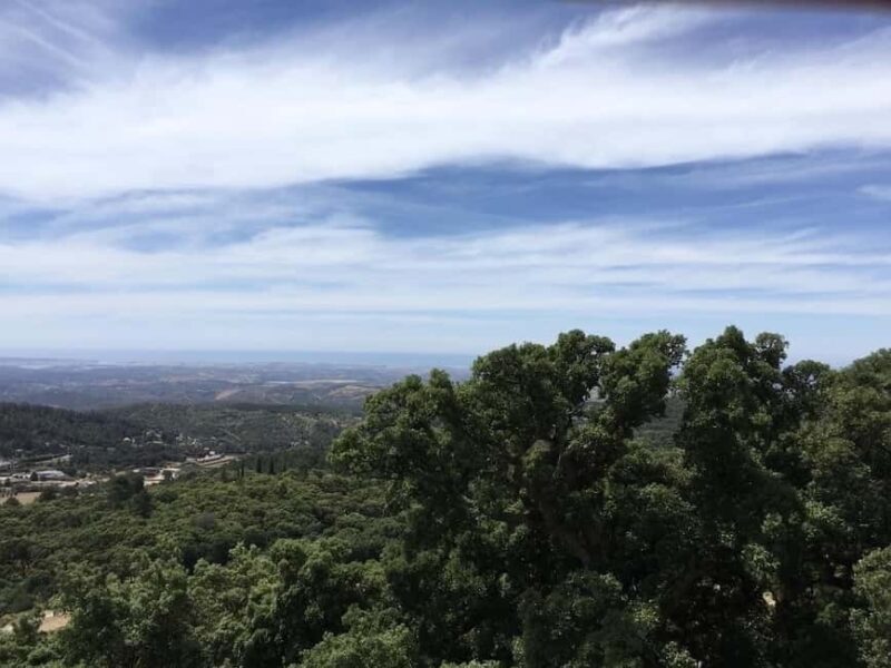 Silves and Monchique Mountain: Guided Bus Tour - FAQ