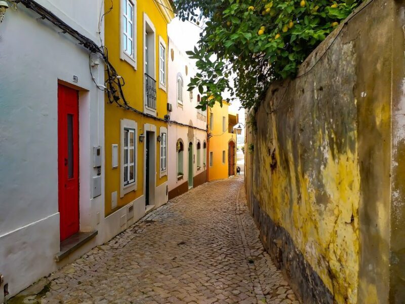 Silves, Caldas and Monchique Wine Tasting: Full Day Tour - Why This Tour Is Worth Considering