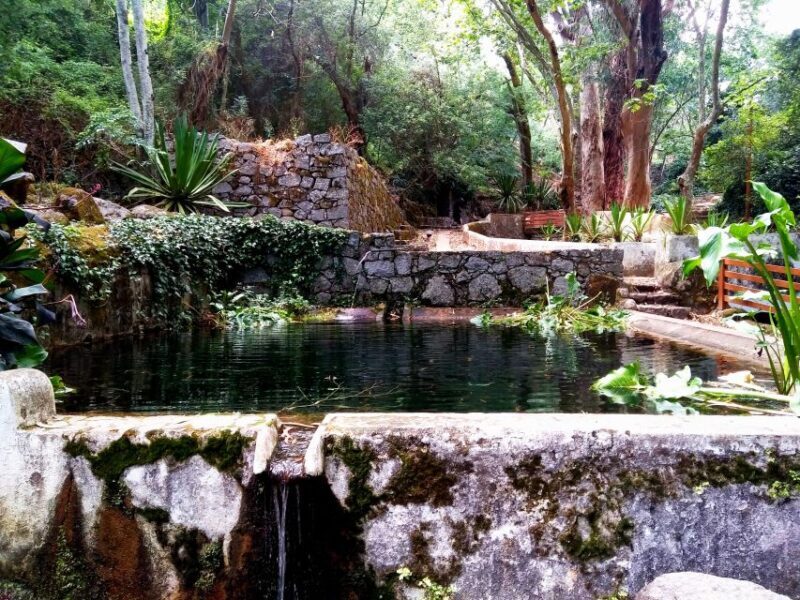 Silves, Caldas and Monchique Wine Tasting: Full Day Tour - Final Thoughts