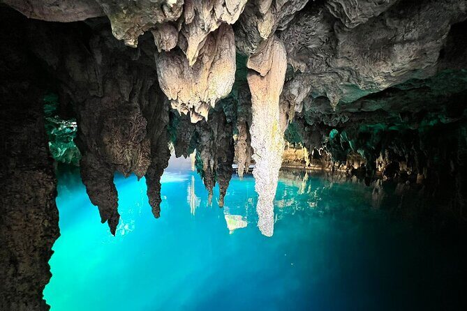 Single ATV, Horseback Riding, Ziplines and Cenote Swim - Final Thoughts