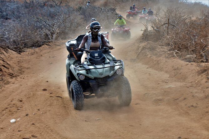 Single ATV Tour from Migriño Beach & Desert - The Ride: What to Expect