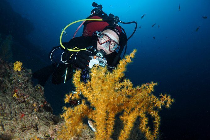 Single Dive for qualified divers from shore, region Puerto del Carmen. - The Itinerary in Detail