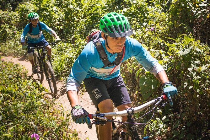 SINGLETRACK MOUNTAIN BIKE - Guided through the jungle - Frequently Asked Questions