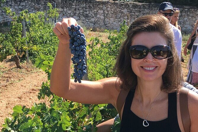 Singular Valencia Wine Tour Utiel Requena Wineries - Authentic Experiences Shared by Travelers