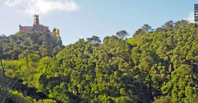 Sintra: 3.5-Hour Rock Climbing Experience - Final Thoughts