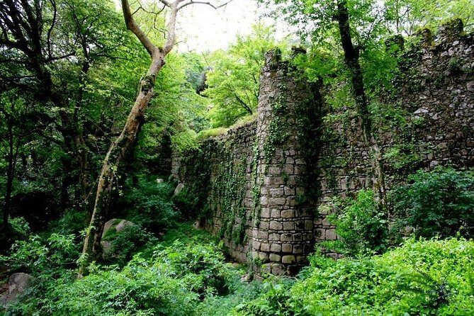 Sintra And Cascais Private Tour : Let us put Sintra in your Heart - The Sum Up: Who Is This Tour Best For?