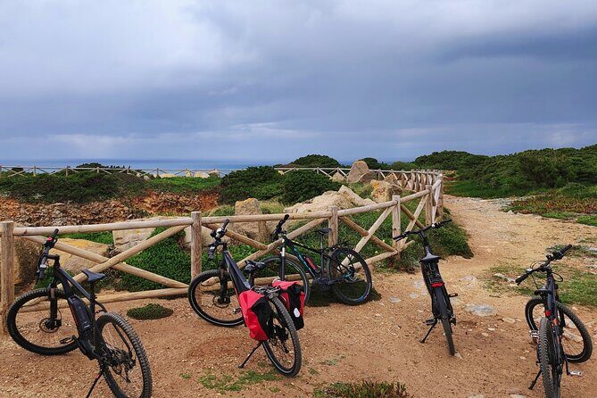 Sintra & Cascais de E-Bike Tour - The Sum Up
