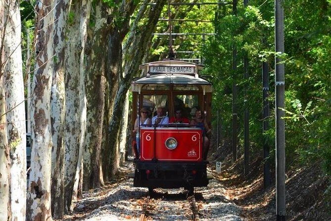 Sintra & Cascais with a local guide - Why This Tour Offers Great Value