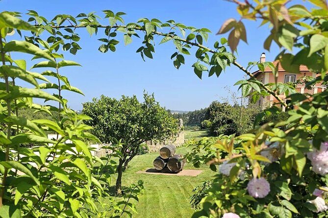 Sintra Food & Wine Experience  Tapas, Tastings & Culture - Sao Joao das Lampas: Wine and Tapas