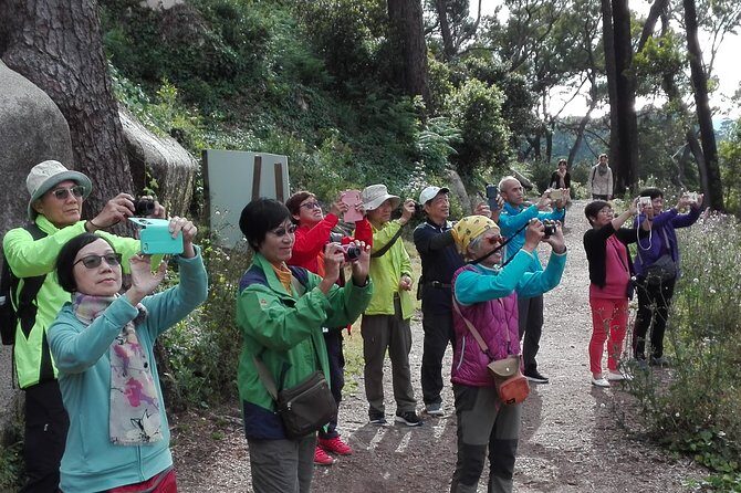 Sintra Full-Day: Pena, Moorish Castle & Regaleira with Tickets - Final Thoughts