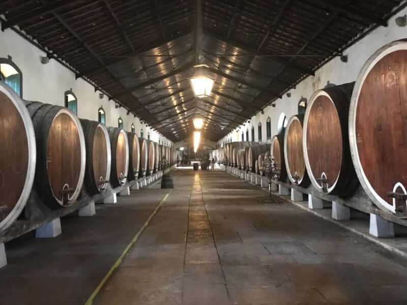 Sintra Off-Road Tour - Atlantic Views & Secret Paths - Final Thoughts