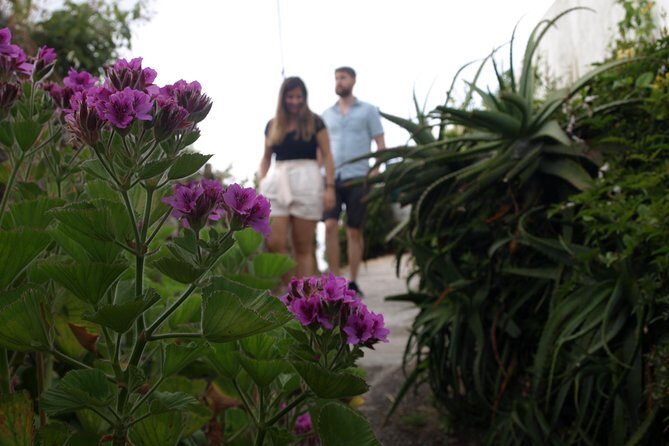 Sintra/Pena, Regaleira & Monserrate - Final Thoughts