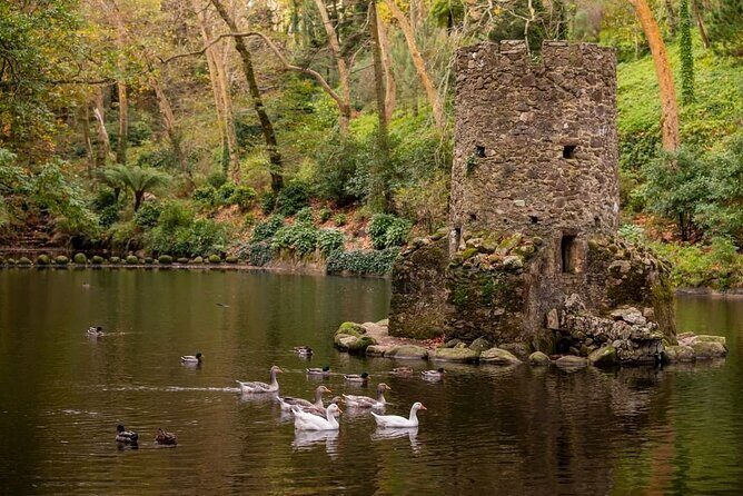 Sintra Private Tour with Tickets: Pena Palace & Moorish Castle - An In-Depth Look at the Sintra Private Tour Experience