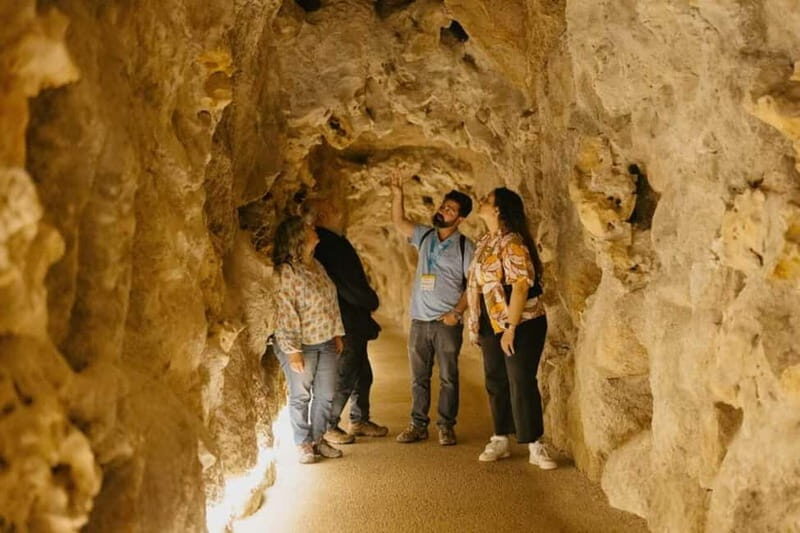 Sintra Private Walking Tour & Quinta da Regaleira - Why Choose This Tour?