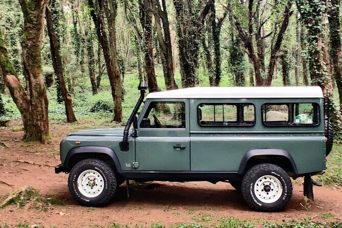 Sintra Tour Tailor-Made (Personalized) - Analyzing Value and Practical Details