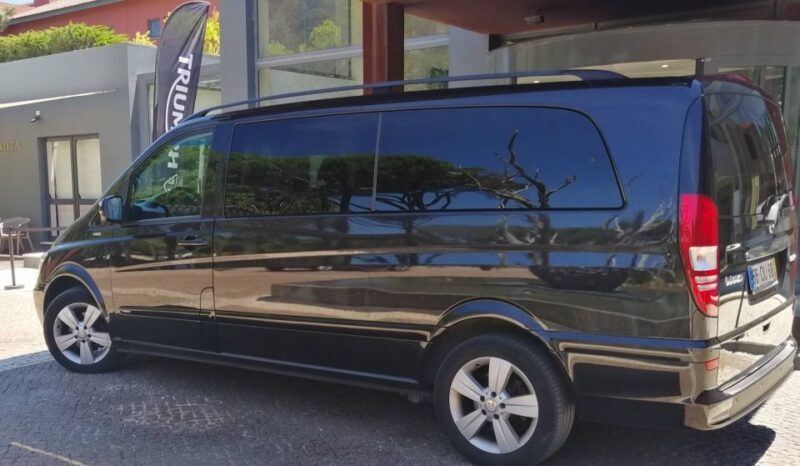 Sintra: Truly Private Tour to Pena Palace & Regaleira - Practical Aspects: How to Make the Most of Your Day