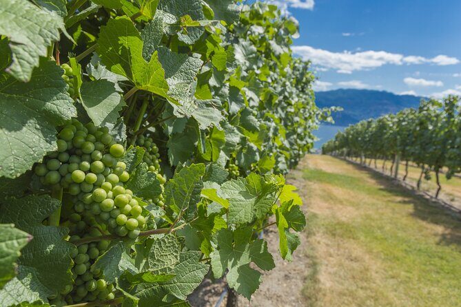 Sip & Savor: Private West Kelowna Wine Trail Escape - What Makes This Tour Stand Out?