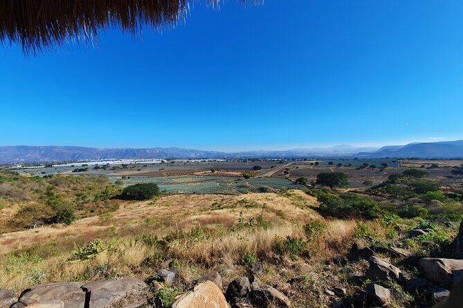 Sip & Savor Tequila Experience Distillery w/ Lunch fr Guadalajara - An Authentic Day in Tequila: What to Expect from the Tour